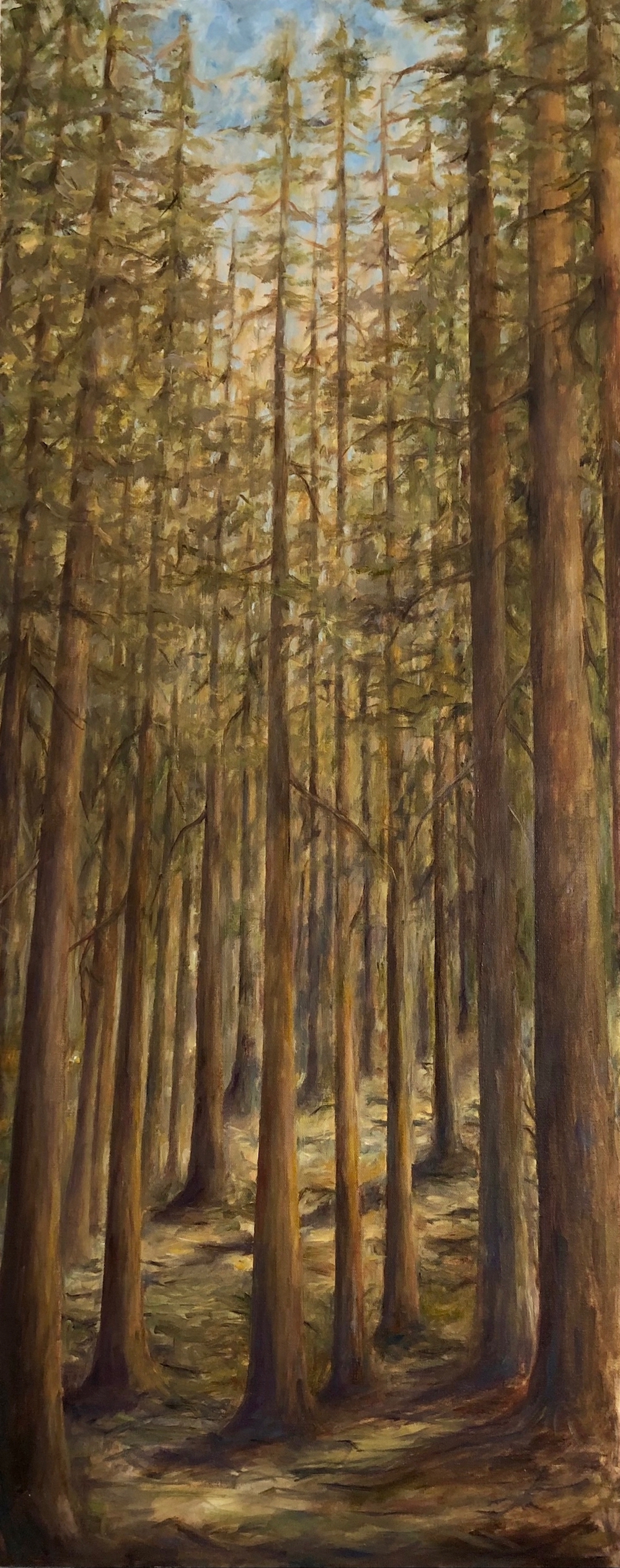 Exhibition No. 3 - Barbara Chapman - Art at Seven Innovation